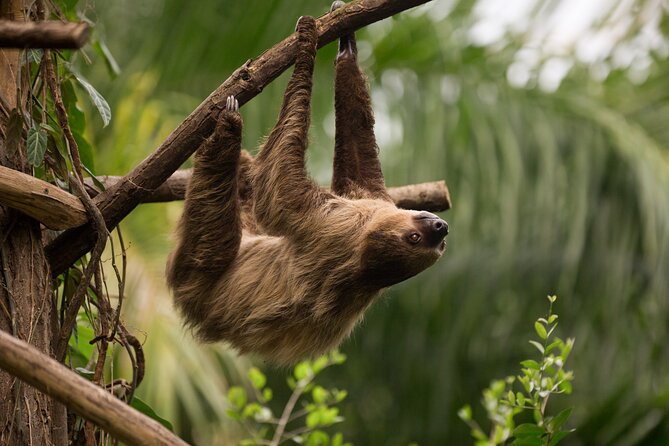 Central Park Zoo Skip-the-line Tickets & Private Transfers - Key Points