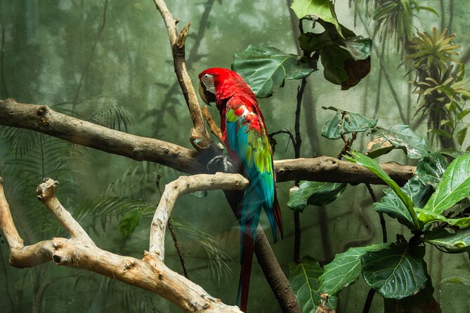 Central Park Zoo Skip-the-line Tickets & Private Transfers - Why This Tour Works for Different Travelers