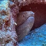 Certified Diver: 2-Tank Night Dive - The Itinerary: What to Expect