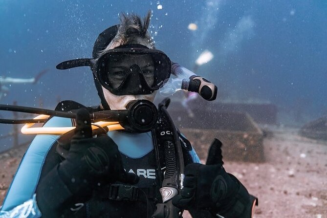 Certified Divers: Best 2-Tank Wrecks & Reef Boat Dive All Inclusive From Waikiki - Who Should Consider This Tour?