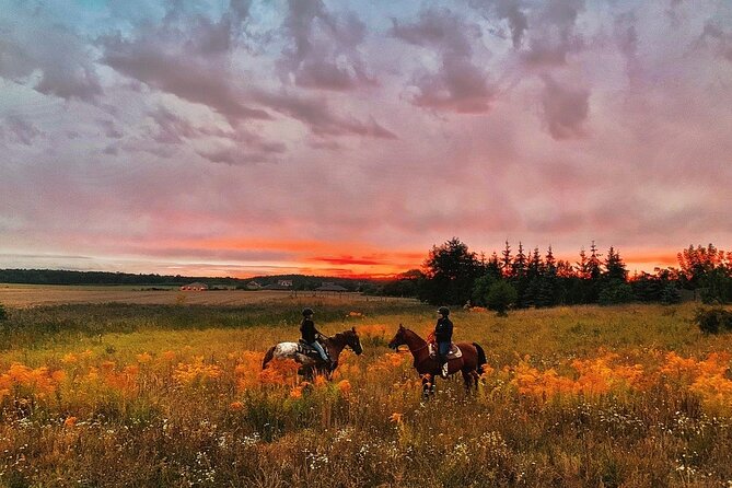 Champagne and Charcuterie Sunset Trail Ride - A Thorough Look at the Experience