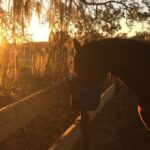 Champagne and Charcuterie Sunset Trail Ride - Authentic Experiences & Review Insights