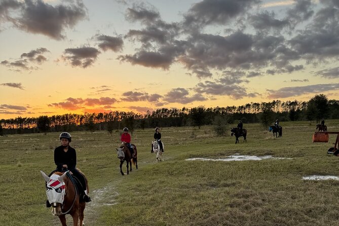 Champagne and Charcuterie Sunset Trail Ride - The Sum Up
