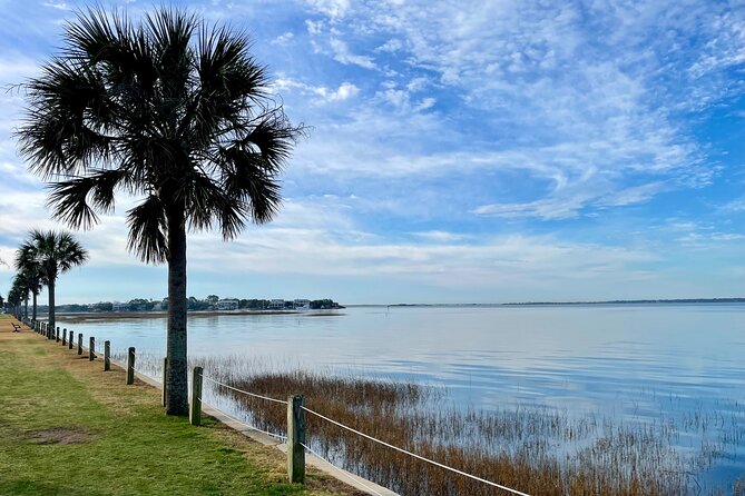 Charleston Bird Watching Tour - Charleston Bird Watching Tour Review: A Birding Experience with Scenic Views