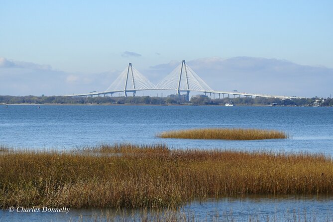 Charleston Bird Watching Tour - The Cost and Value
