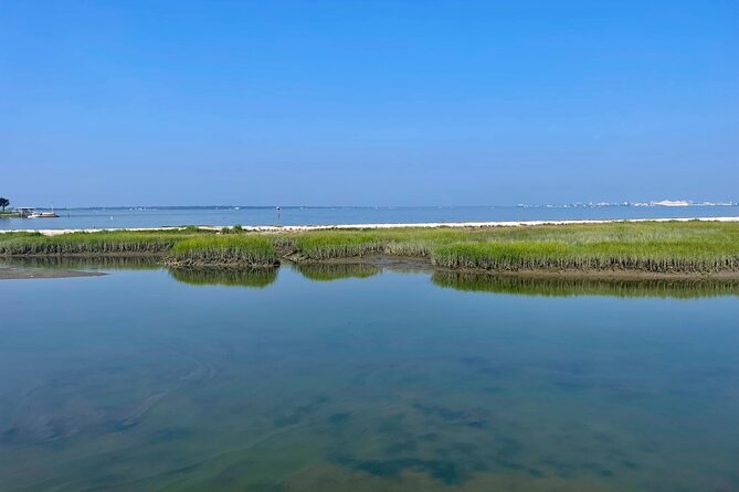 Charleston Bird Watching Tour - FAQs
