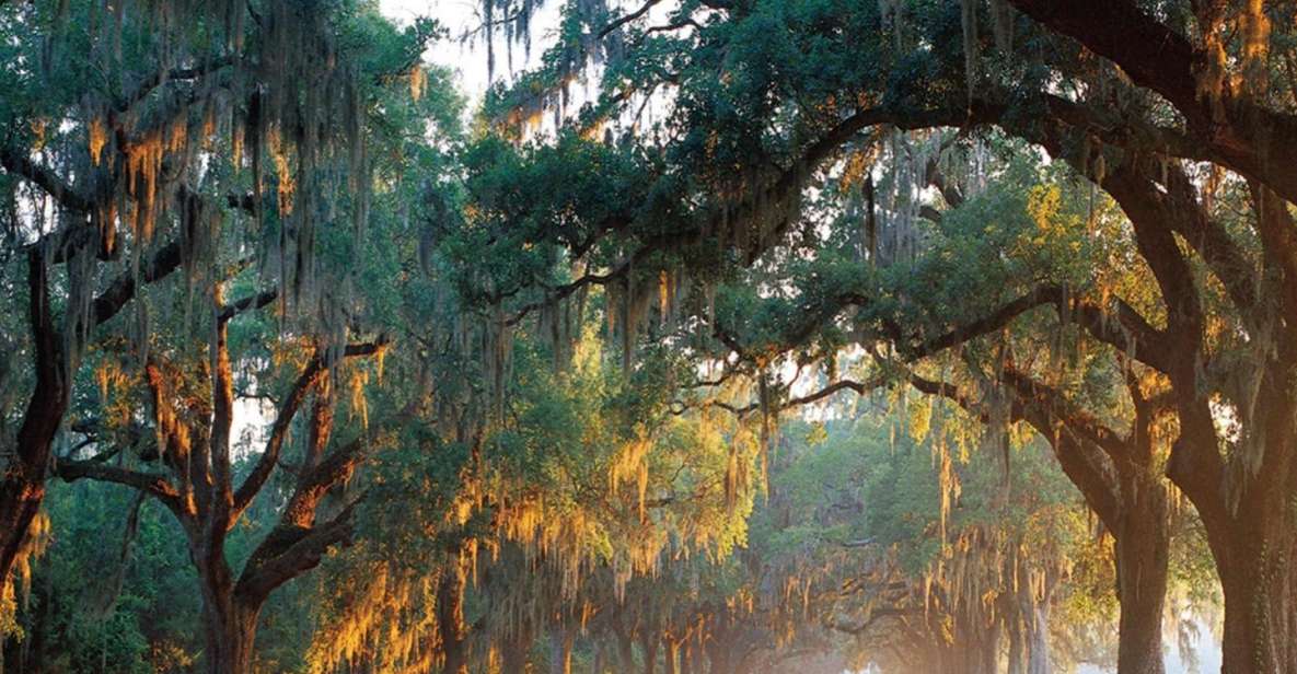 Charleston: Boone Hall & Historic City Tour Combo - Key Points