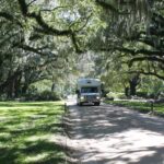 Charleston: Boone Hall Plantation Entry & Tour w/ Transport - Practical Details and Tips
