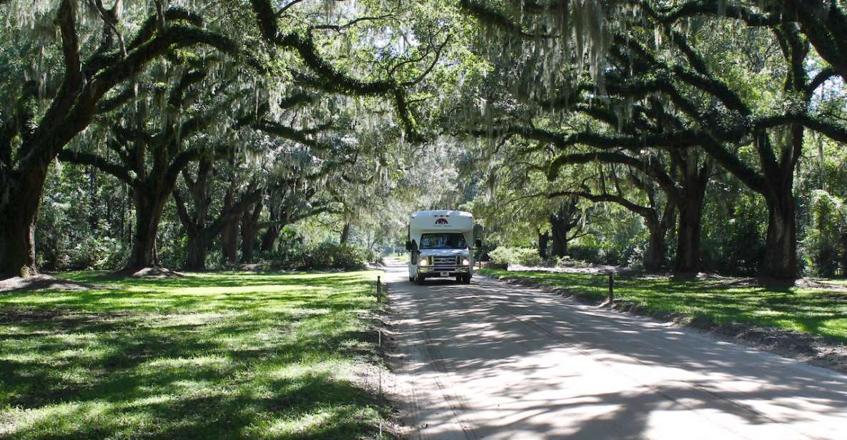 Charleston: Boone Hall Plantation Entry & Tour w/ Transport - Practical Details and Tips