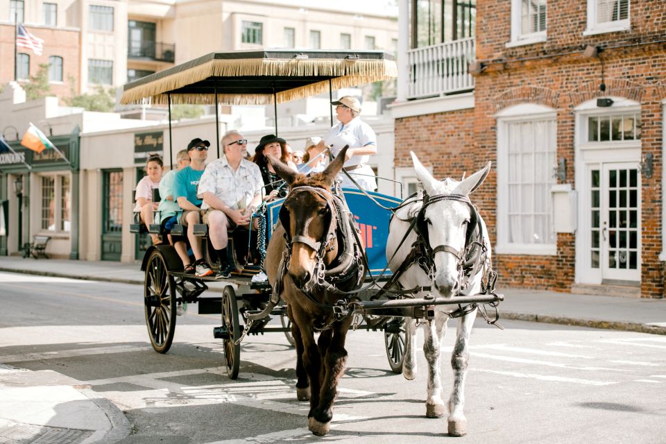 Charleston: Downtown Horse-Drawn Carriage Tour - Key Points