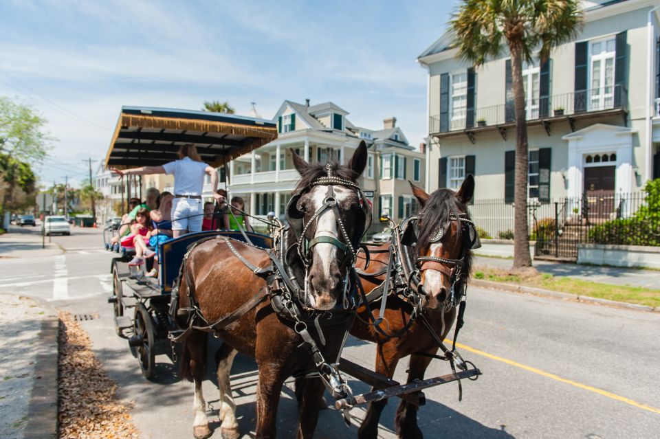 Charleston: Downtown Horse-Drawn Carriage Tour - An In-Depth Look at the Carriage Tour Experience
