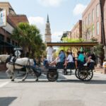 Charleston: Downtown Horse-Drawn Carriage Tour - Why This Tour Stands Out