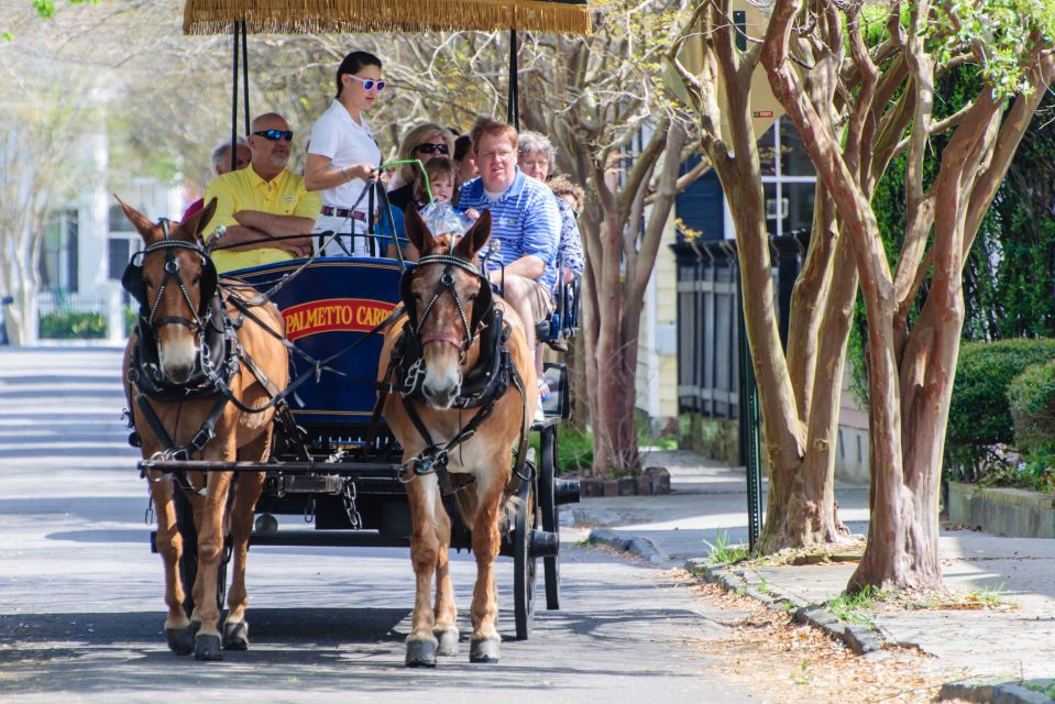Charleston: Downtown Horse-Drawn Carriage Tour - Final Thoughts