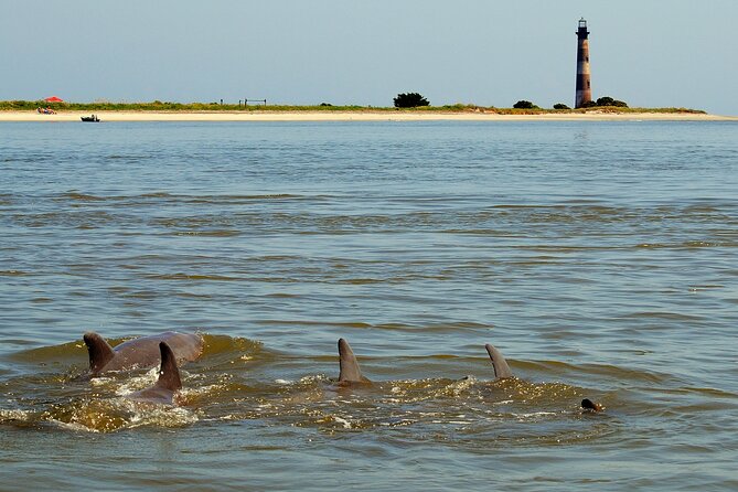 Charleston Eco Boat Cruise with stop at Morris Island Lighthouse - Authentic Experiences Highlighted by Reviewers