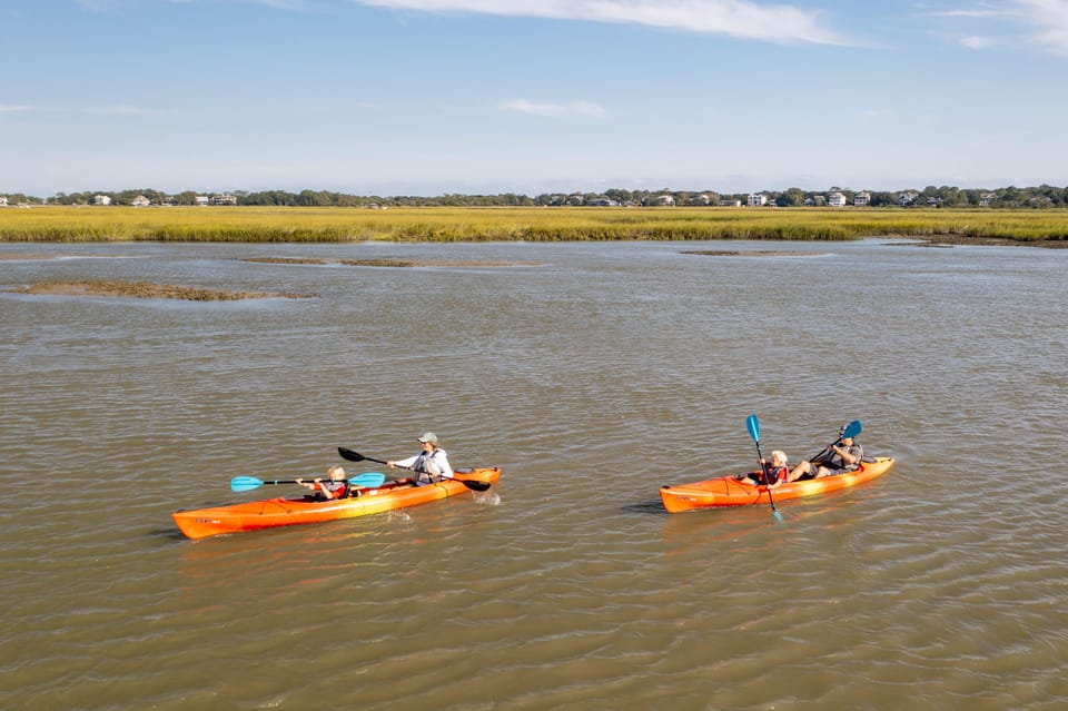 Charleston: Folly Beach Afternoon Kayak Dolphin Safari - An In-Depth Look at the Kayak Safari Experience