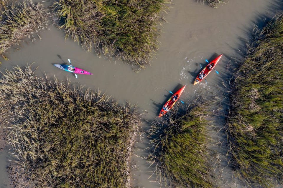 Charleston: Folly Beach Afternoon Kayak Dolphin Safari - FAQ