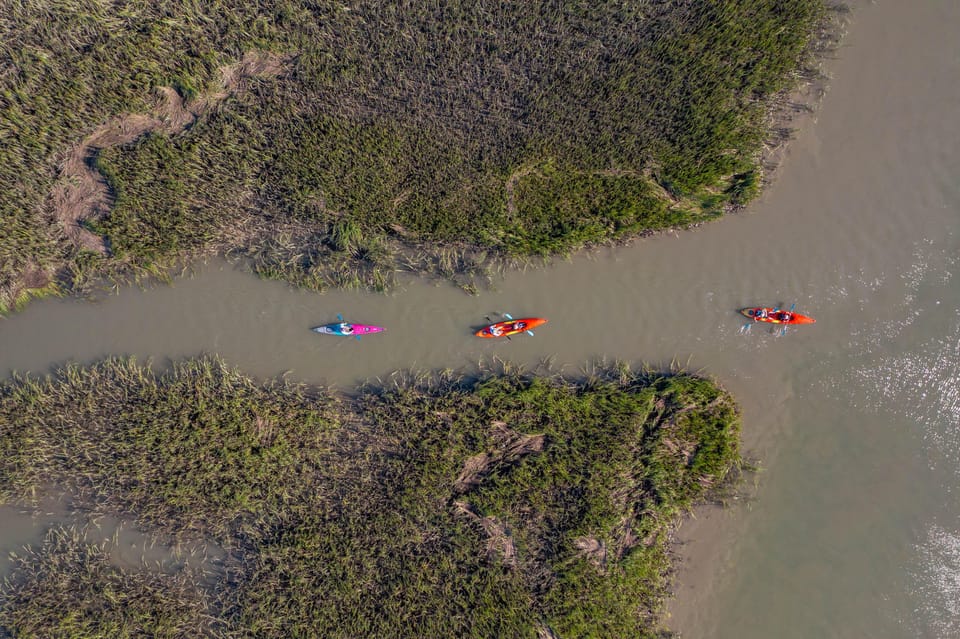 Charleston: Folly Beach Kayak Dolphin Safari - An Authentic Look at the Folly Beach Kayak Dolphin Safari