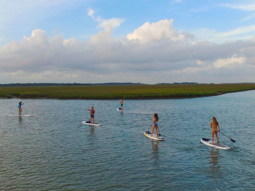 Charleston: Folly Beach Stand Up Paddleboard 2-hour Rental - Paddling Experience and Wildlife Encounters