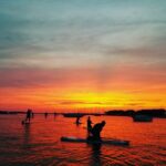 Charleston: Folly Beach Stand Up Paddleboard Dolphin Safari - What To Expect During the Tour