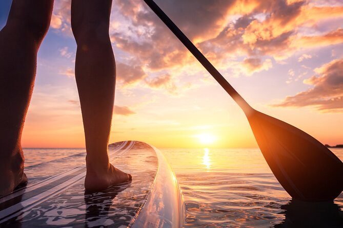 Charleston/Folly Beach Stand up Paddleboard Tour - Key Points