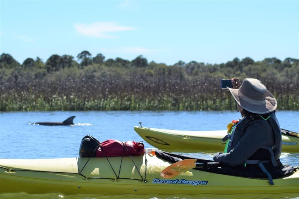 Charleston: Guided 2hr. Kayak Tour with a Tandem or Single - FAQ