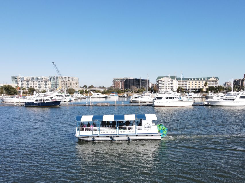 Charleston: Harbor Bar Pedal Boat Party Cruise - Who Should Consider This?