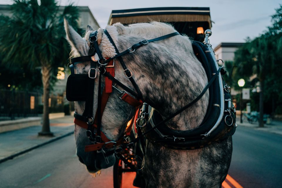 Charleston: Haunted Carriage Evening Tour - What to Expect from the Haunted Carriage Tour