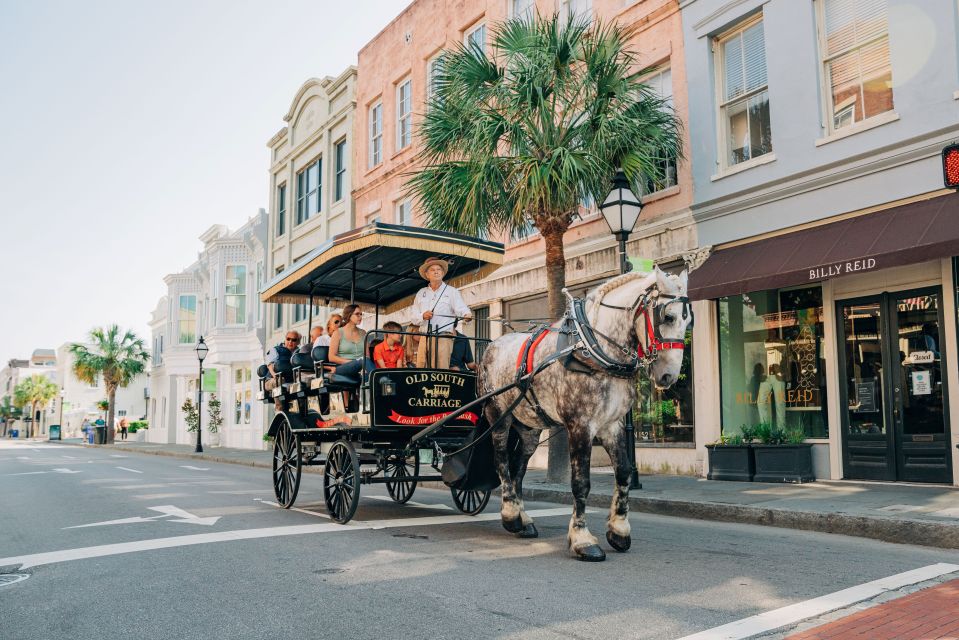 Charleston: Historical Downtown Tour by Horse-drawn Carriage - An In-Depth Look at the Charleston Horse-Drawn Carriage Tour