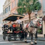 Charleston: Historical Downtown Tour by Horse-drawn Carriage - Why This Tour Is Worth Considering