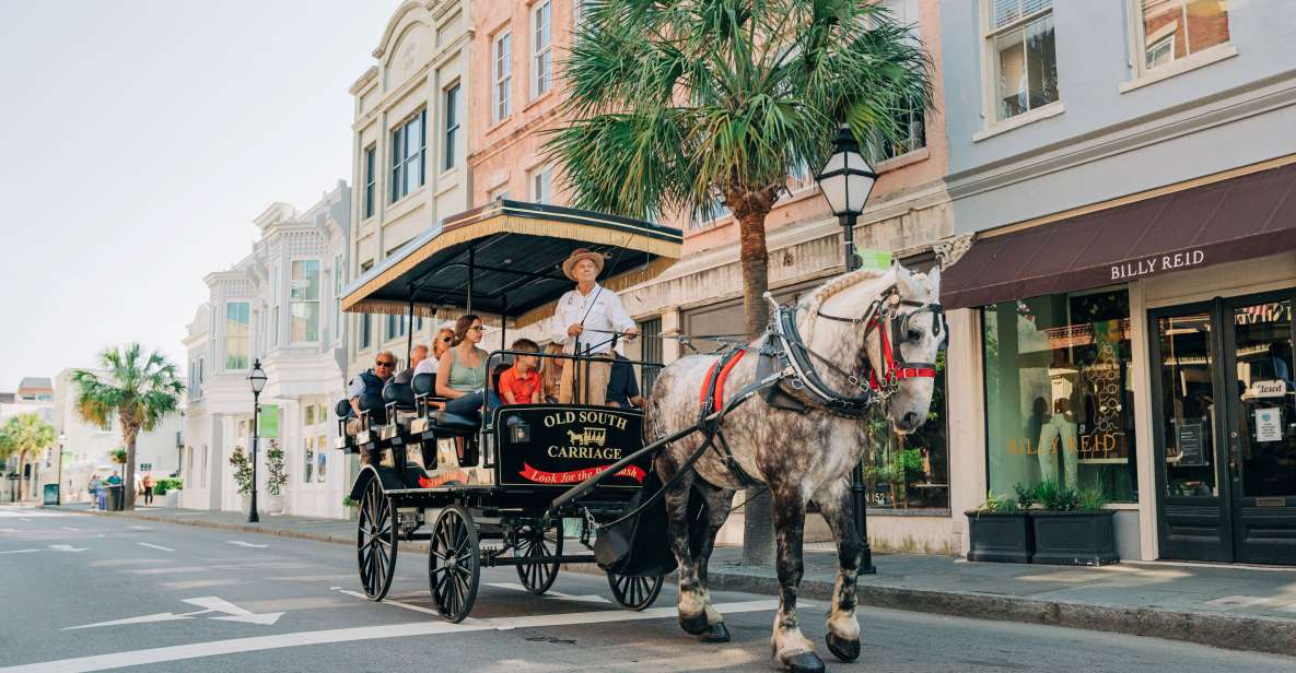Charleston: Historical Downtown Tour by Horse-drawn Carriage - Why This Tour Is Worth Considering