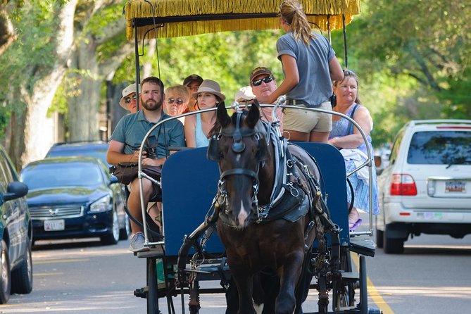 Charleston Horse & Carriage Historic Sightseeing Tour - A Thorough Look at the Charleston Carriage Tour