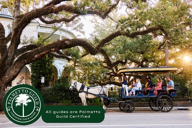 Charleston Horse-Drawn Carriage Tour: Explore Historic Charleston - An In-depth Look at the Charleston Carriage Tour