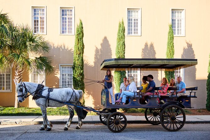 Charleston Horse-Drawn Carriage Tour: Explore Historic Charleston - Final Thoughts: Who Should Consider This Tour?