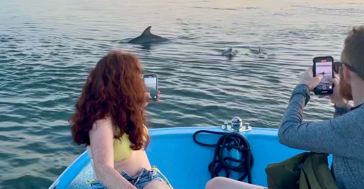 Charleston: Morris Island Dolphin Cruise with Beachcombing - The Scenic Boat Ride