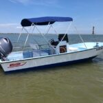 Charleston: Morris Island Dolphin Cruise with Beachcombing - Beachcombing on Morris Island
