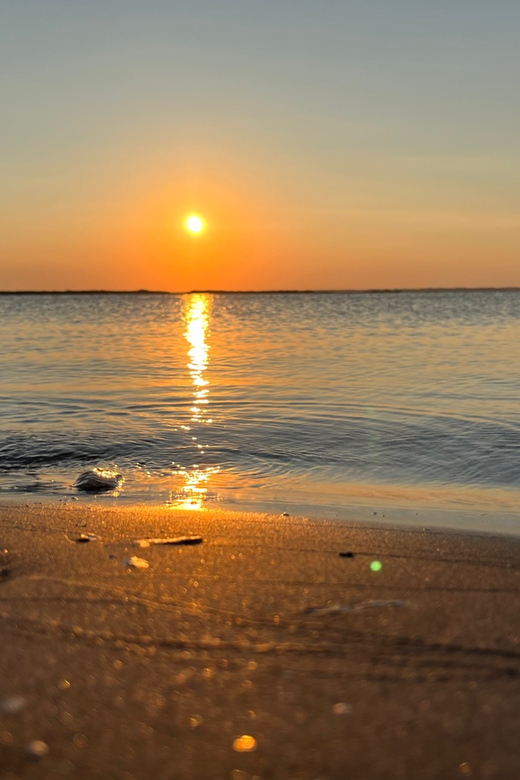 Charleston: Morris Island Dolphin Cruise with Beachcombing - Customization and Flexibility