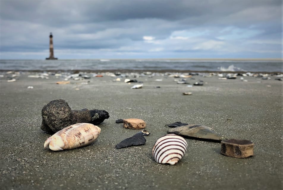 Charleston: Morris Island Dolphin Cruise with Beachcombing - Additional Details
