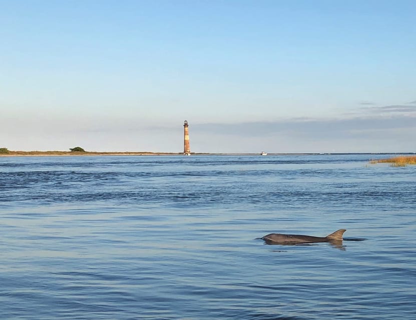 Charleston: Morris Island Dolphin Cruise with Beachcombing - Practical Tips for Travelers