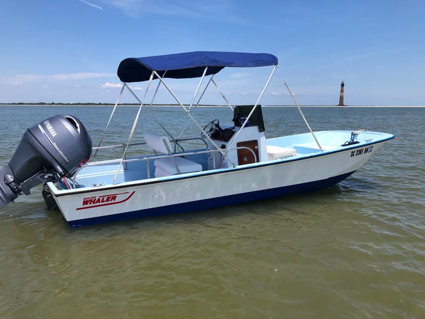 Charleston: Morris Island Dolphin Cruise with Beachcombing - An In-Depth Look at the Experience
