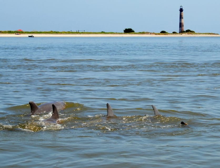 Charleston: Morris Island Lighthouse Eco-Boat Tour - Key Points