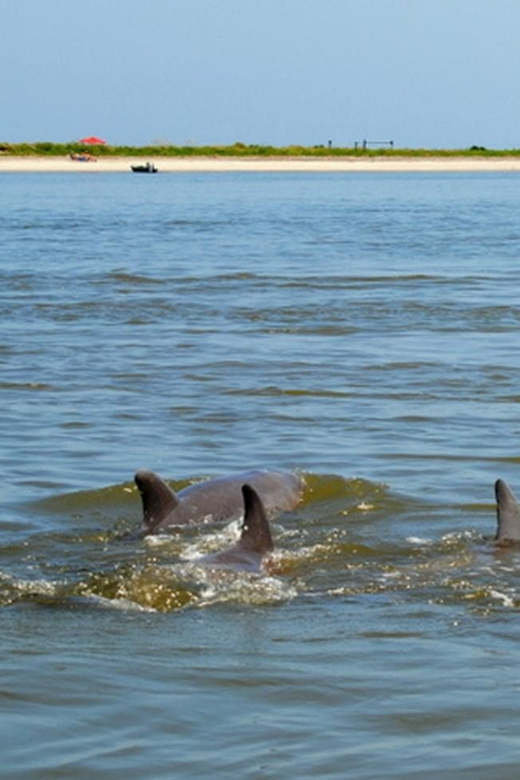 Charleston: Morris Island Lighthouse Eco-Boat Tour - Final Thoughts