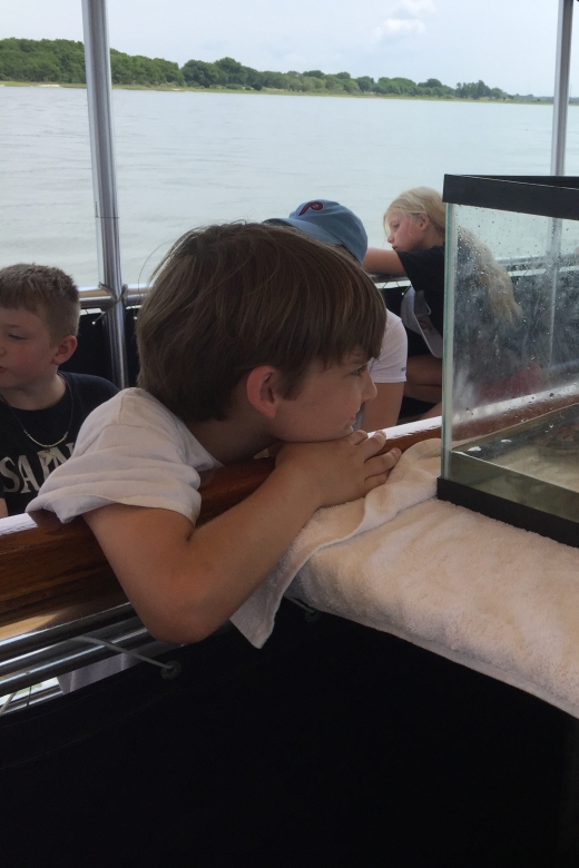 Charleston: Morris Island Nature Boat Tour with Naturalist - Authentic Experiences from Past Travelers