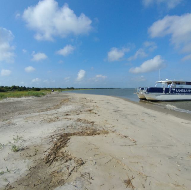 Charleston: Morris Island Nature Boat Tour with Naturalist - The Sum Up