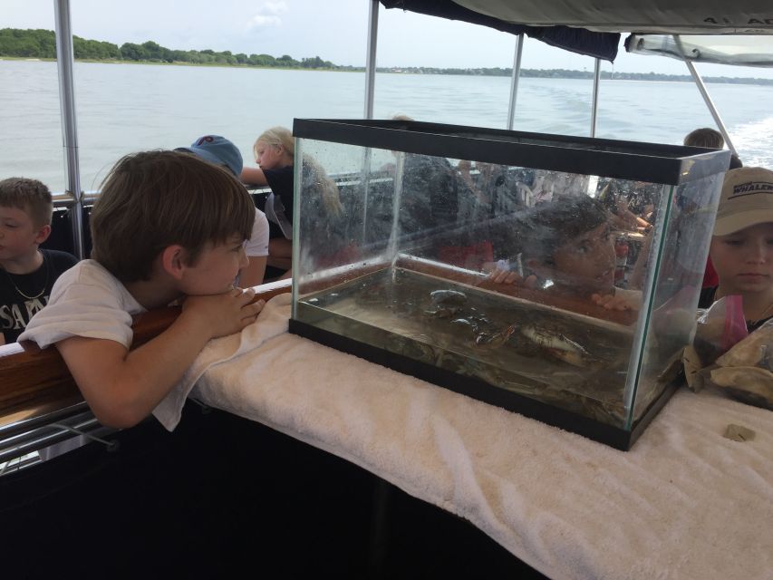 Charleston: Morris Island Nature Boat Tour with Naturalist - FAQ