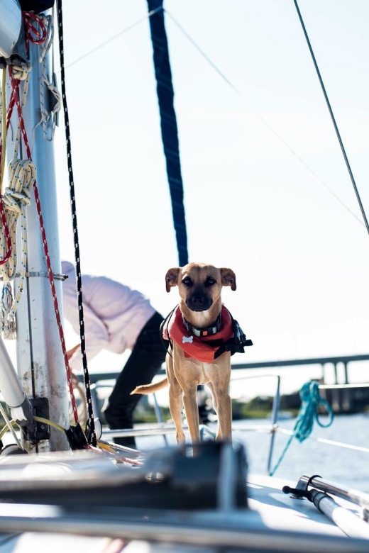Charleston: Private BYOB Luxury Yacht Cruise - FAQ