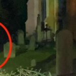 Charleston: Real Hauntings of Charleston Guided Tour - Who Will Love This Tour?