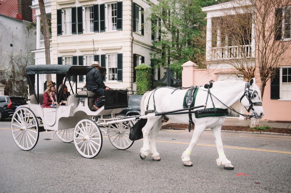 Charleston, SC: Private Daytime Horse-Drawn Carriage Ride - An In-Depth Look at the Tour