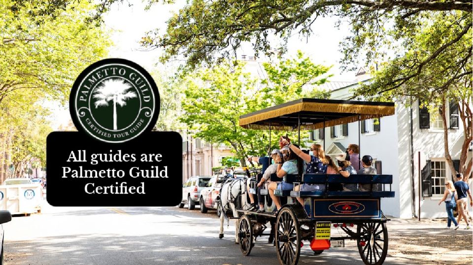 Charleston, SC: Private Daytime Horse-Drawn Carriage Ride - Final Thoughts