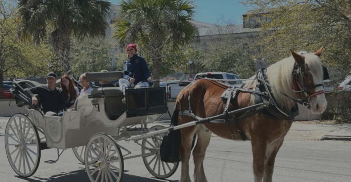 Charleston, SC: Private Evening Horse & Carriage Tour - An Authentic Introduction to Charleston’s Charm