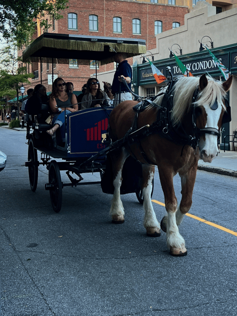 Charleston, SC: Private Evening Horse & Carriage Tour - What Makes This Tour Stand Out?